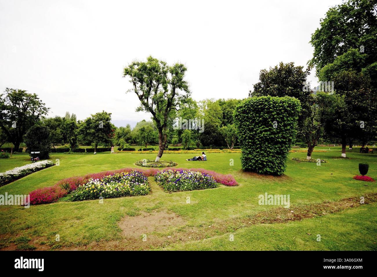 Mughal garden nishat bagh, Srinagar, Jammu and Kashmir, India, Asia ...
