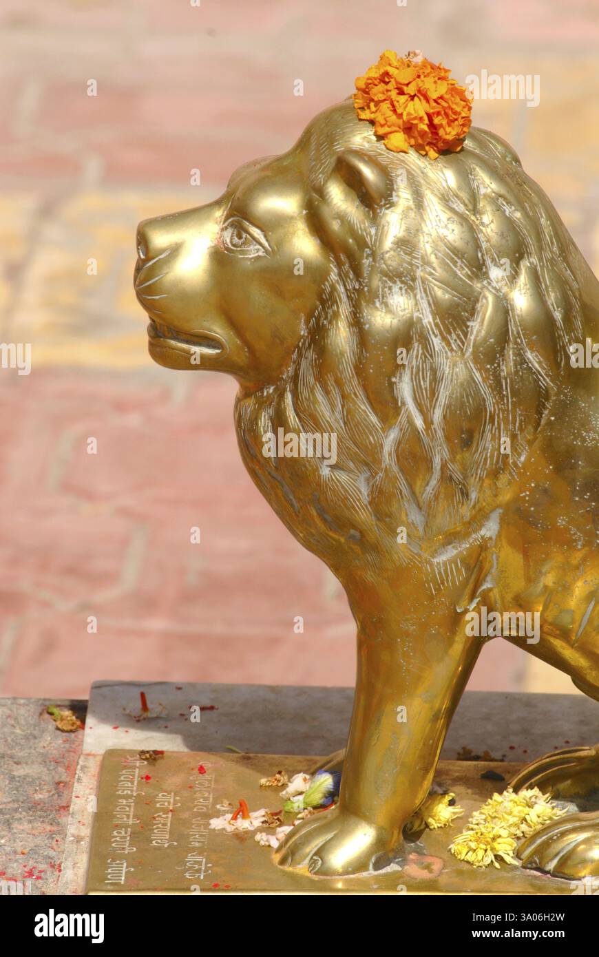 Brass statue of sited lion with marigold flower on head, Shree ...