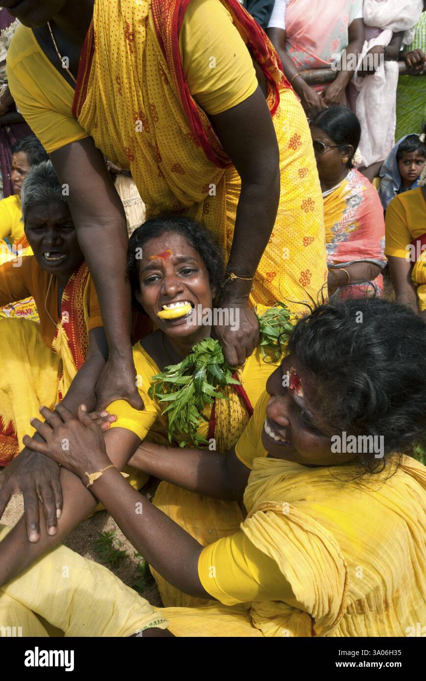 Devotees in trance dances in duryodhana padukalam festival, Sevilimedu ...