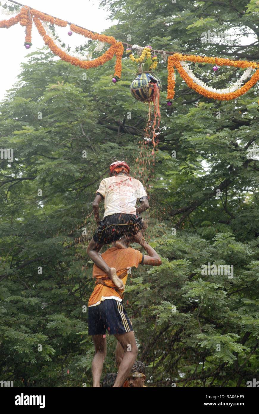 Govinda breaking Dahi Handi, Human Pyramid, Janmashtami janmashtmi ...
