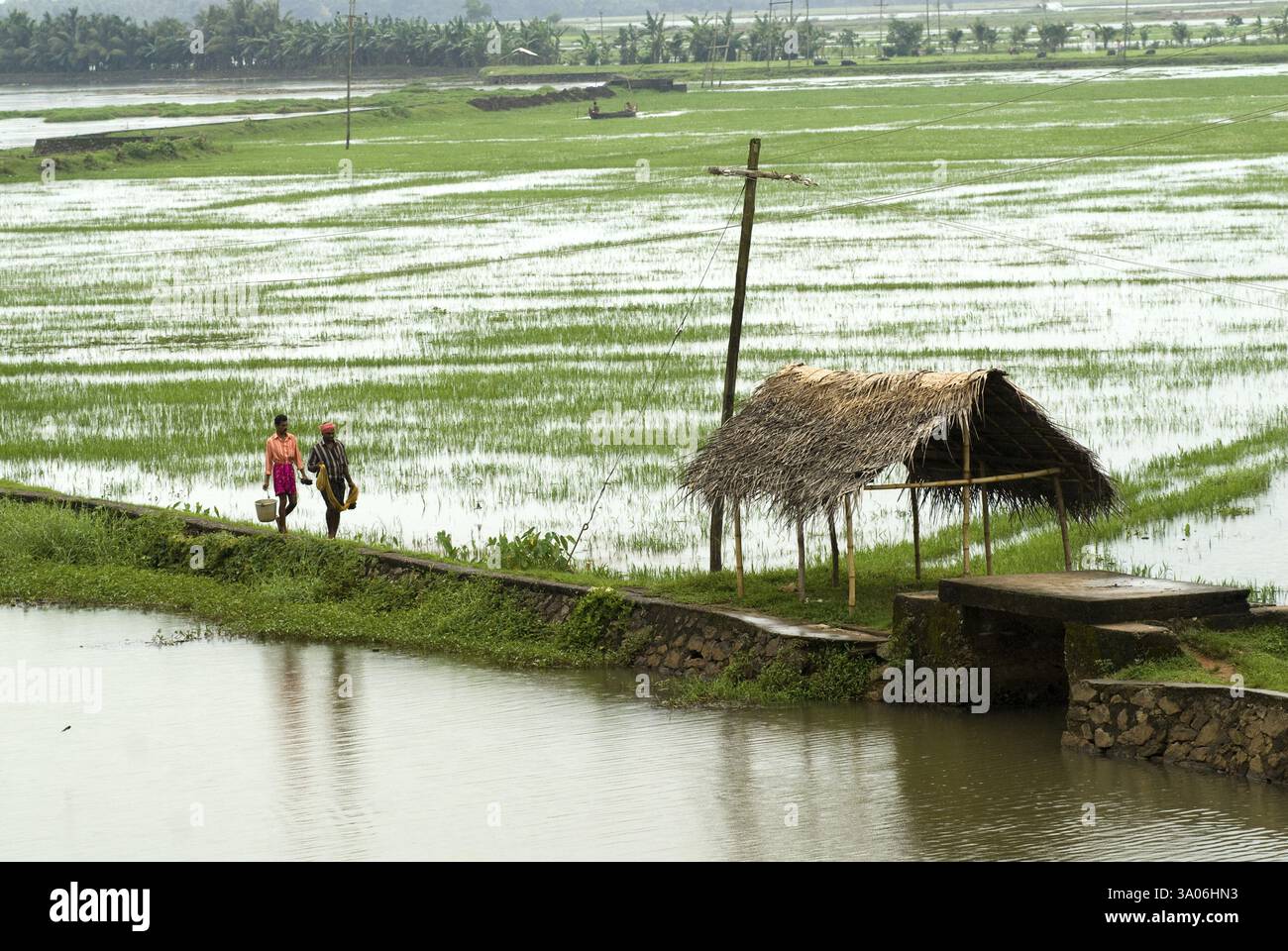 Backwater scene at Melpadom in Mannarsala during a monsoon day, Kerala ...