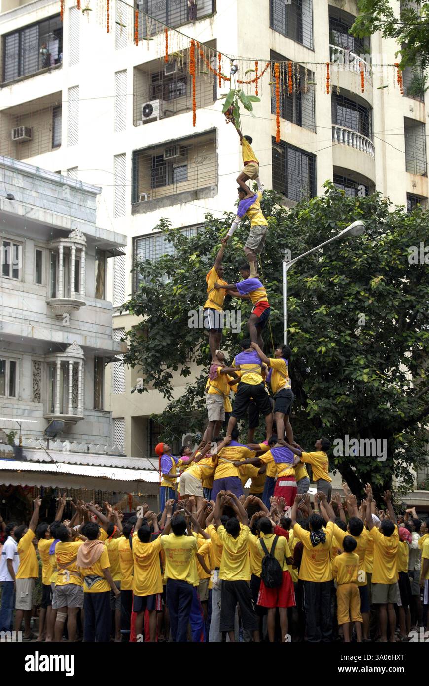 Boys breaking dahi hundi human pyramid on janmashtami gokulashtami ...