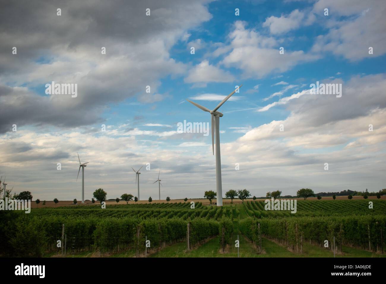 Wind wheels field hi-res stock photography and images - Alamy