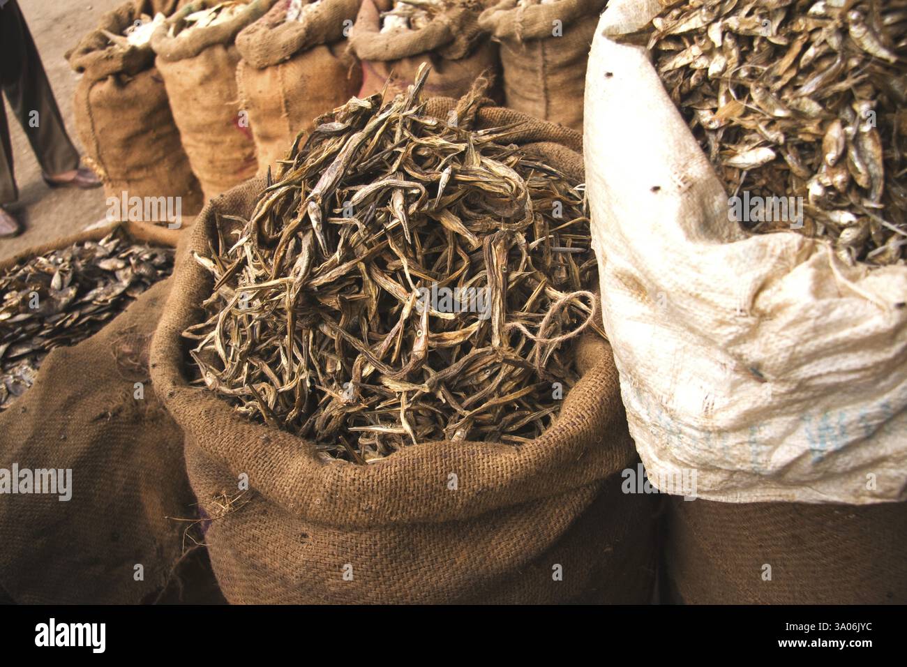 Dry fish, Assam, India, Asia Stock Photo - Alamy