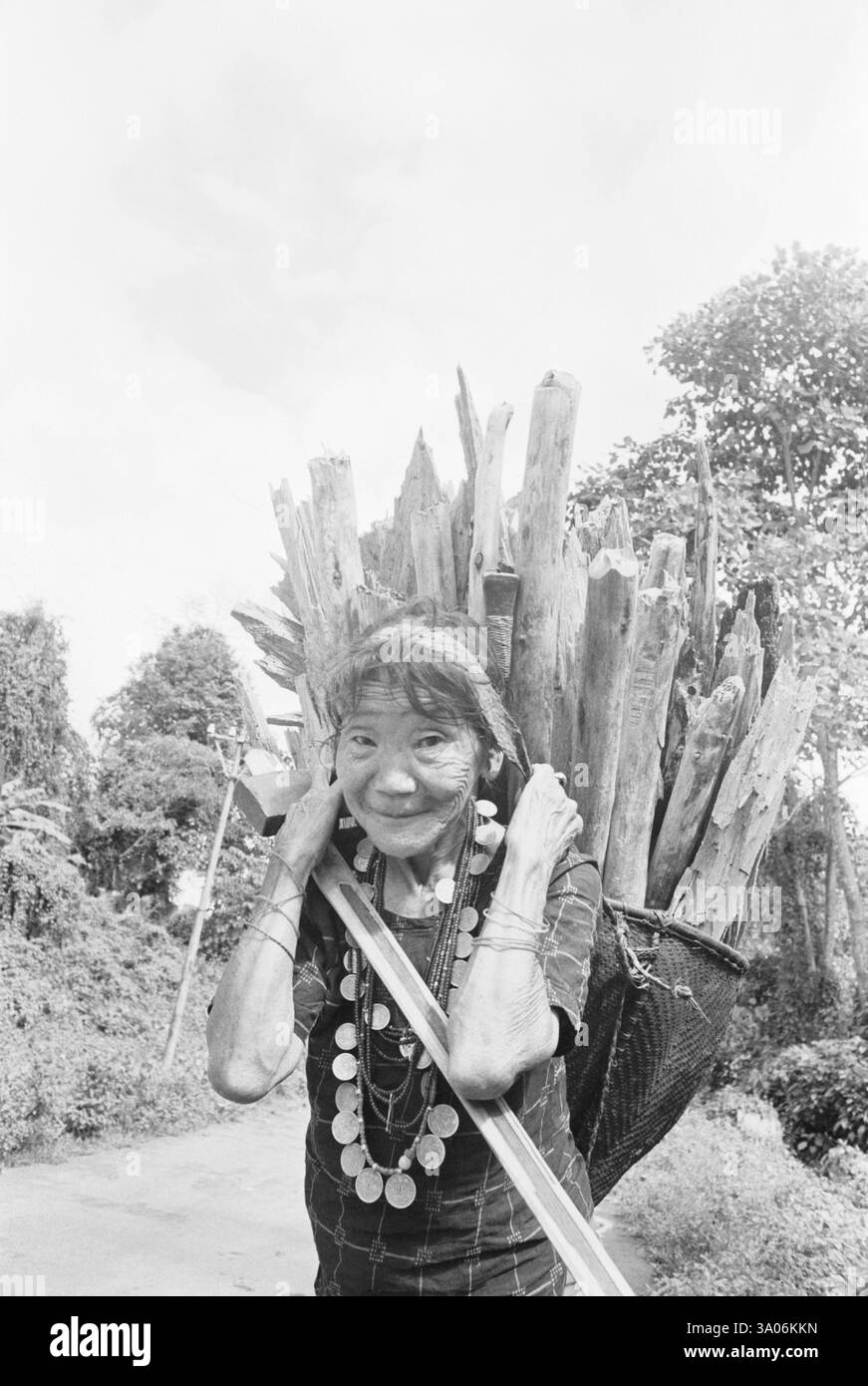 Old lady from Hill Miri tribe carrying wood on her back, Arunachal ...