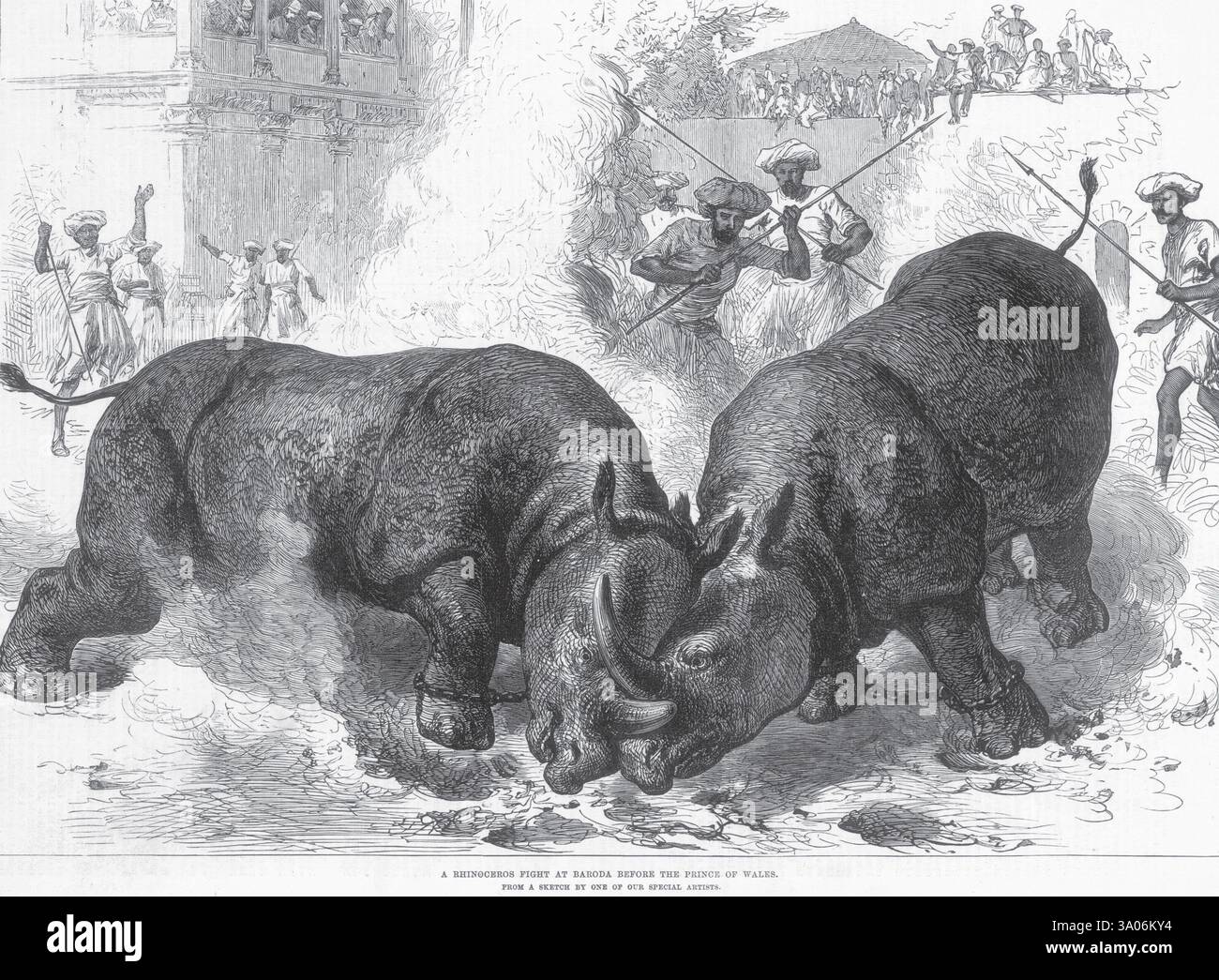 Hunting & animal views, a rhinoceros fight at Baroda before the prince ...
