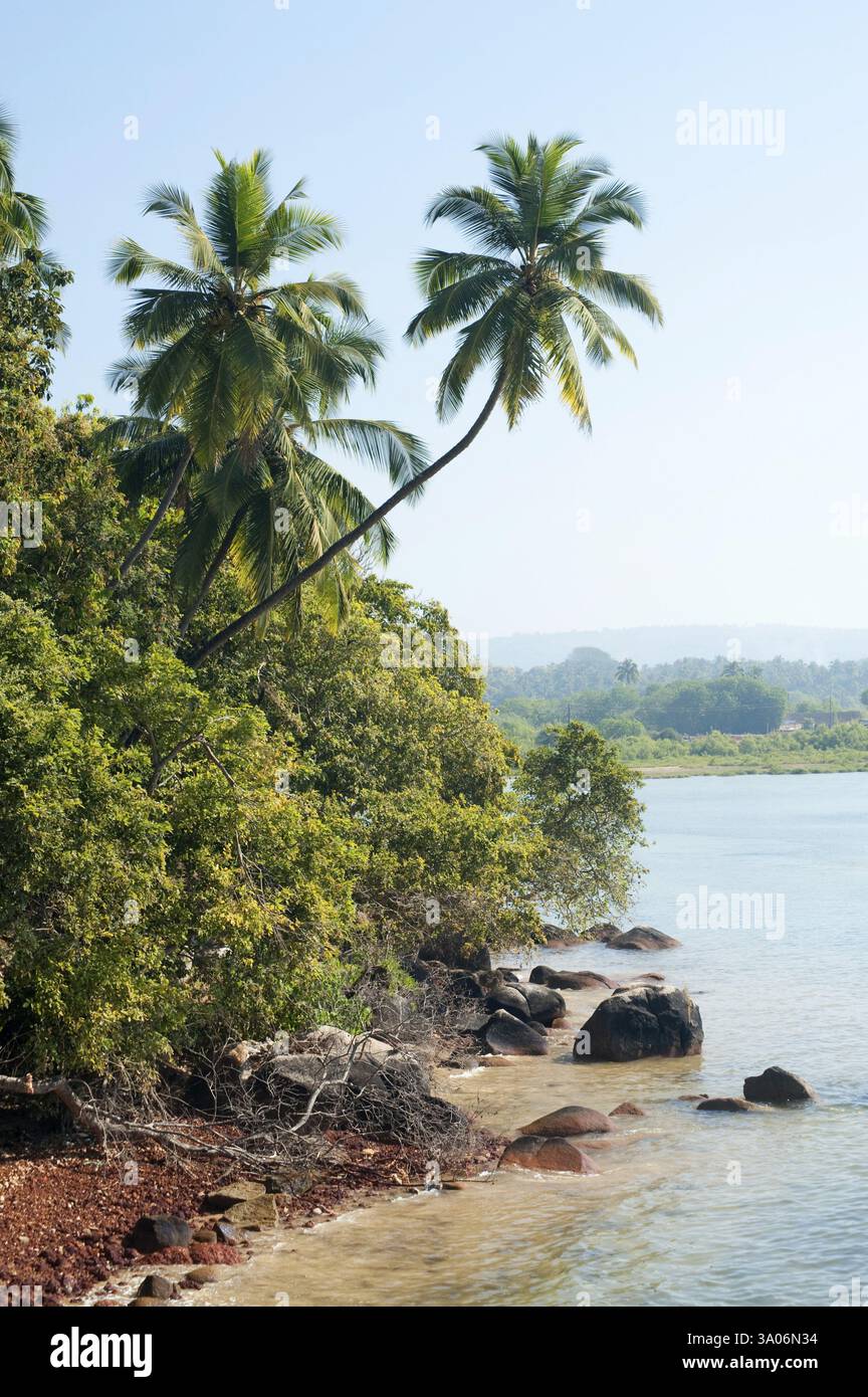 Vengurla beach at sindhudurg, Maharashtra, India, Asia Stock Photo - Alamy