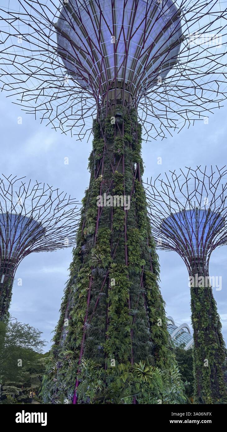 Futuristic trees with vertical greenery in a municipal park against a ...