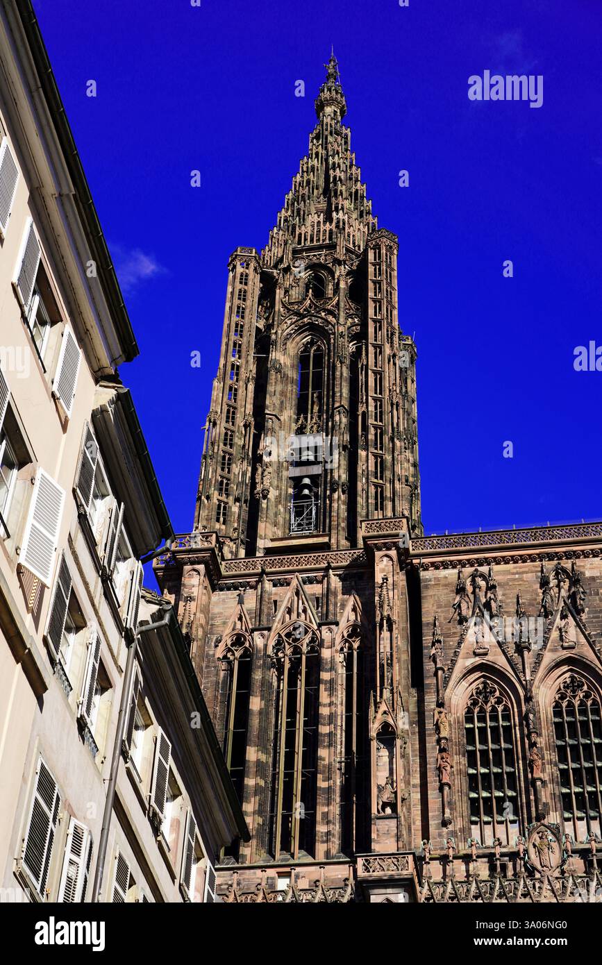 Strasbourg Cathedral, Cathedral of Our Lady, Cathedrale Notre-Dame ...