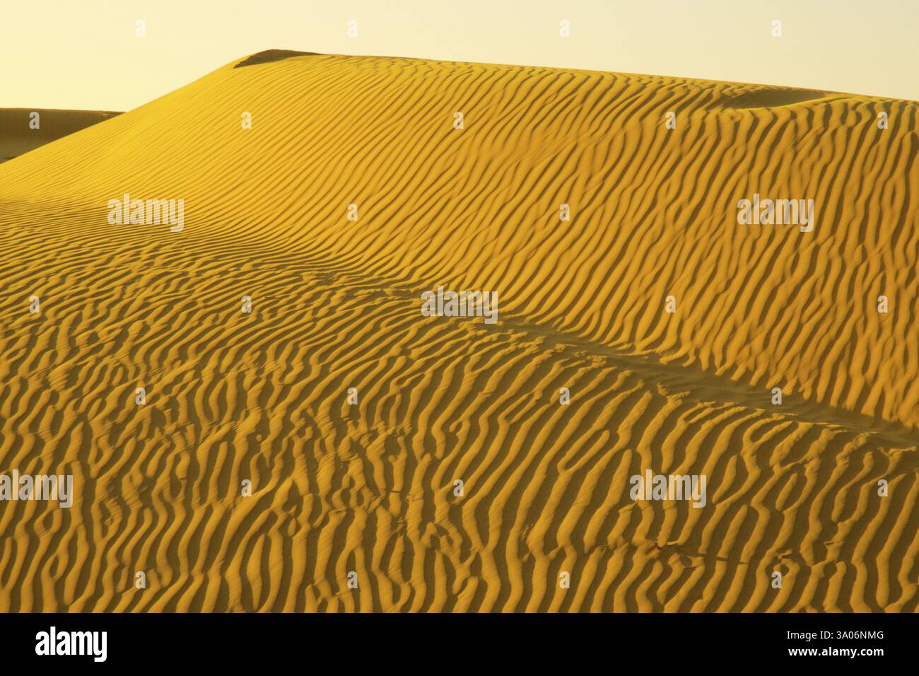 Ripple design on golden sand dunes due to wind with highlight and ...