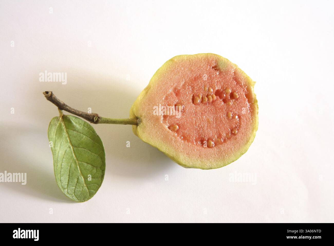 Fruits, amrood half guava psidium guyava with green leaf on white ...