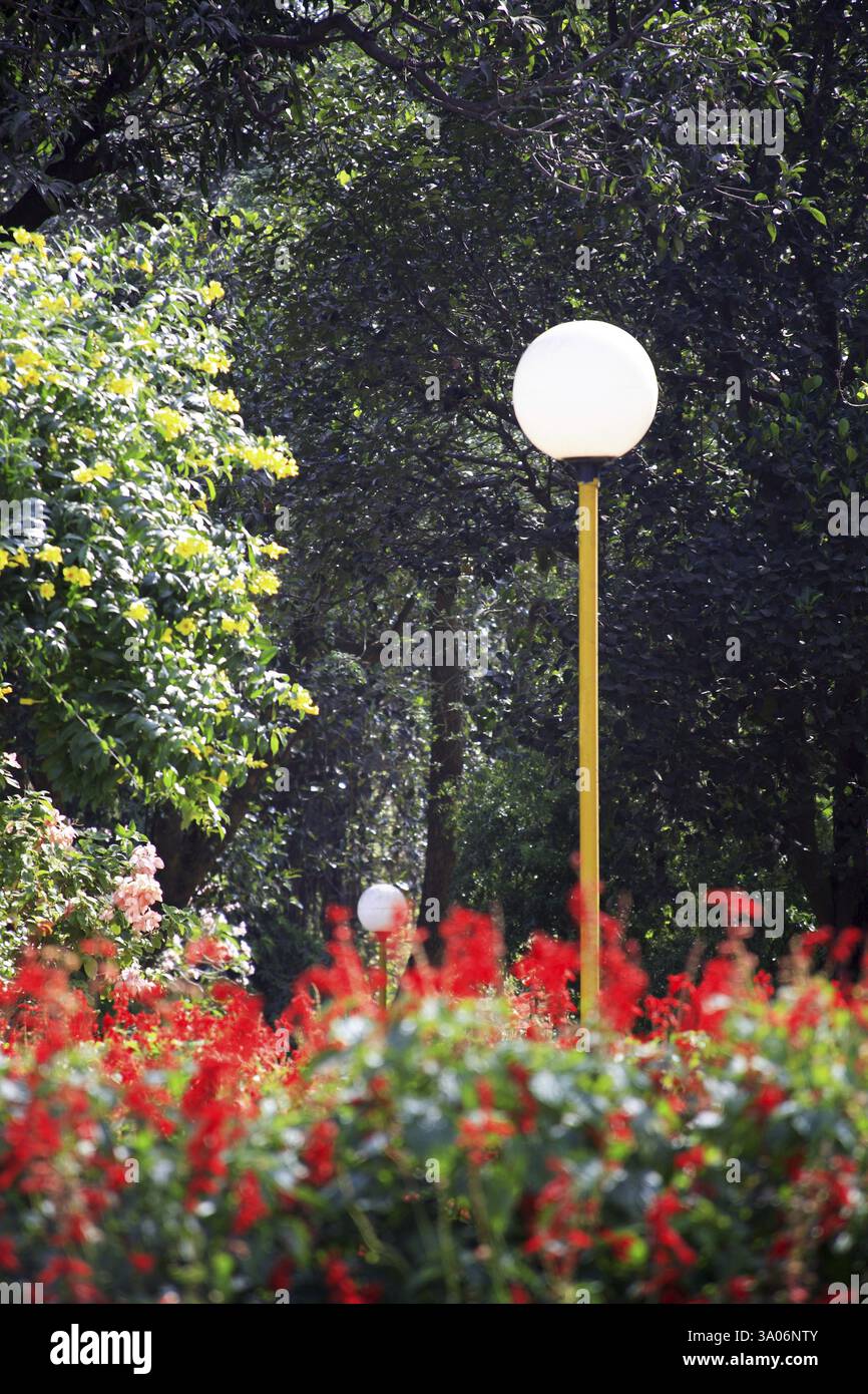 Lamppost and red yellow flowers in kamala nehru park, Bombay Mumbai ...