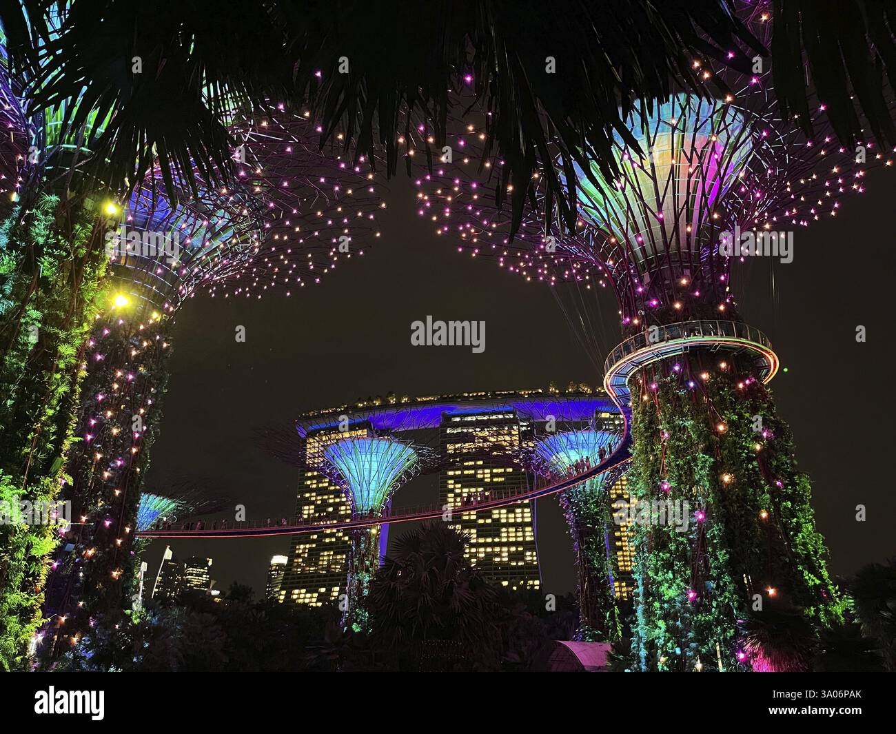 Futuristic illuminated trees at night, colourful and lively atmosphere ...