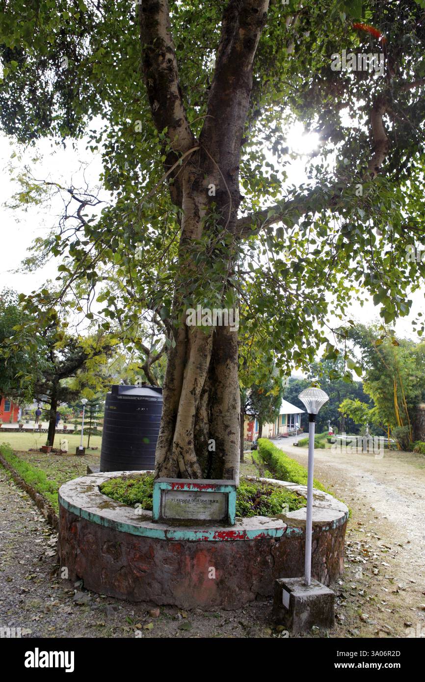 Honour of PT Keshava Deva Shastri and bodhi tree, Rajpur, Dehradun ...