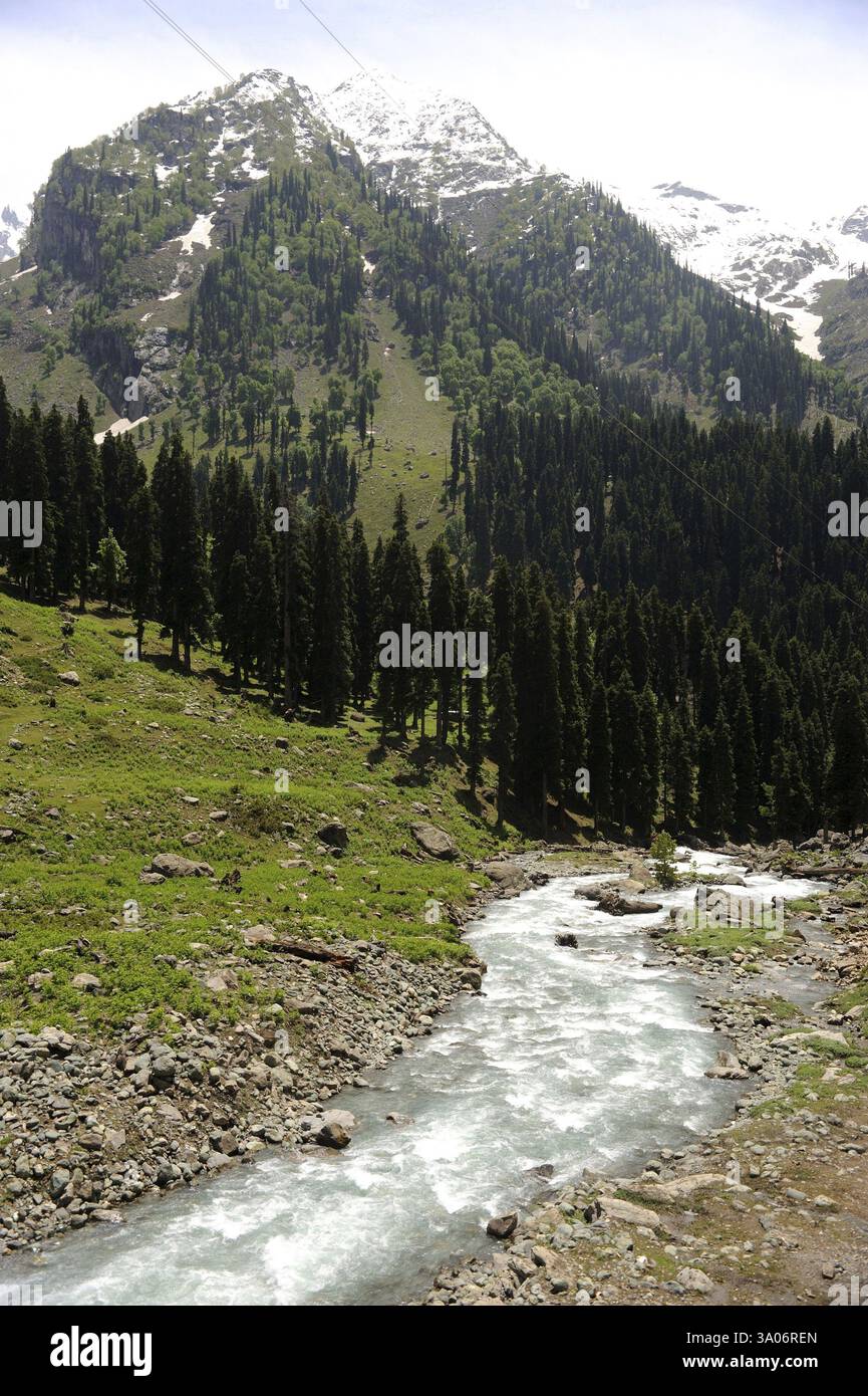 Water flowing in valley, Kashmir, Jammu and Kashmir, India, Asia Stock ...