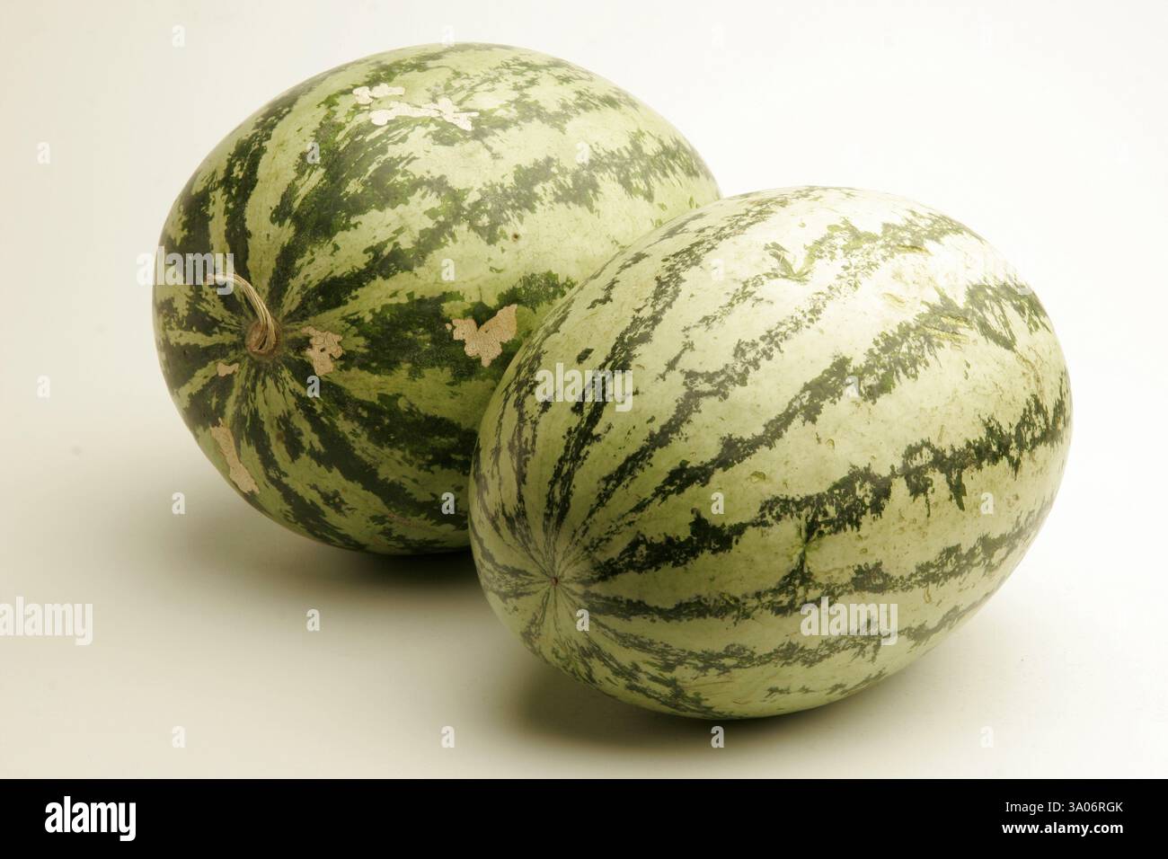 Fruits, Two full watermelons with light and dark green stripes watery ...