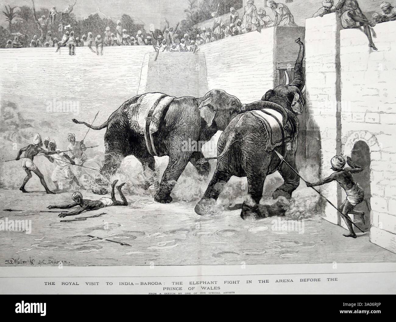 Royalty on Tour The Royal Visit to India Baroda The Elephant Fight in ...