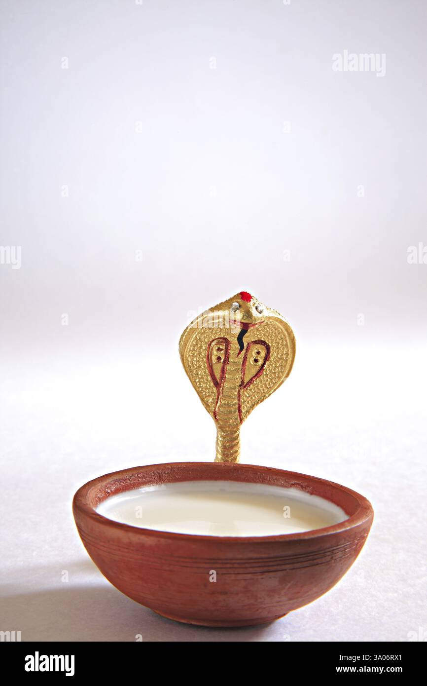 Nagpanchami or cobra festival, snake puja, Bombay Mumbai, Maharashtra ...