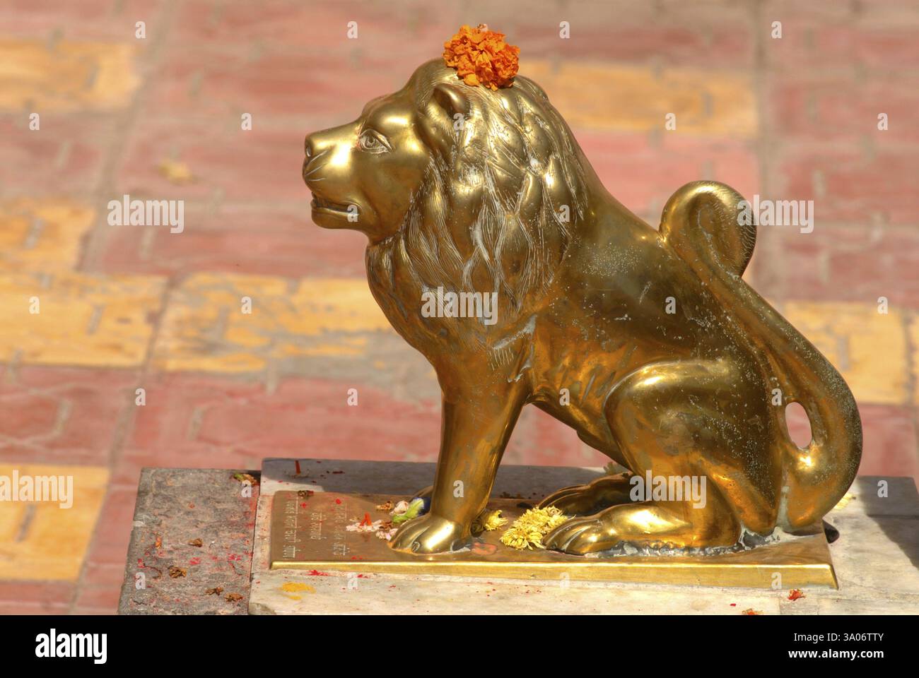 Brass statue of sited lion with marigold flower on head, Shree ...