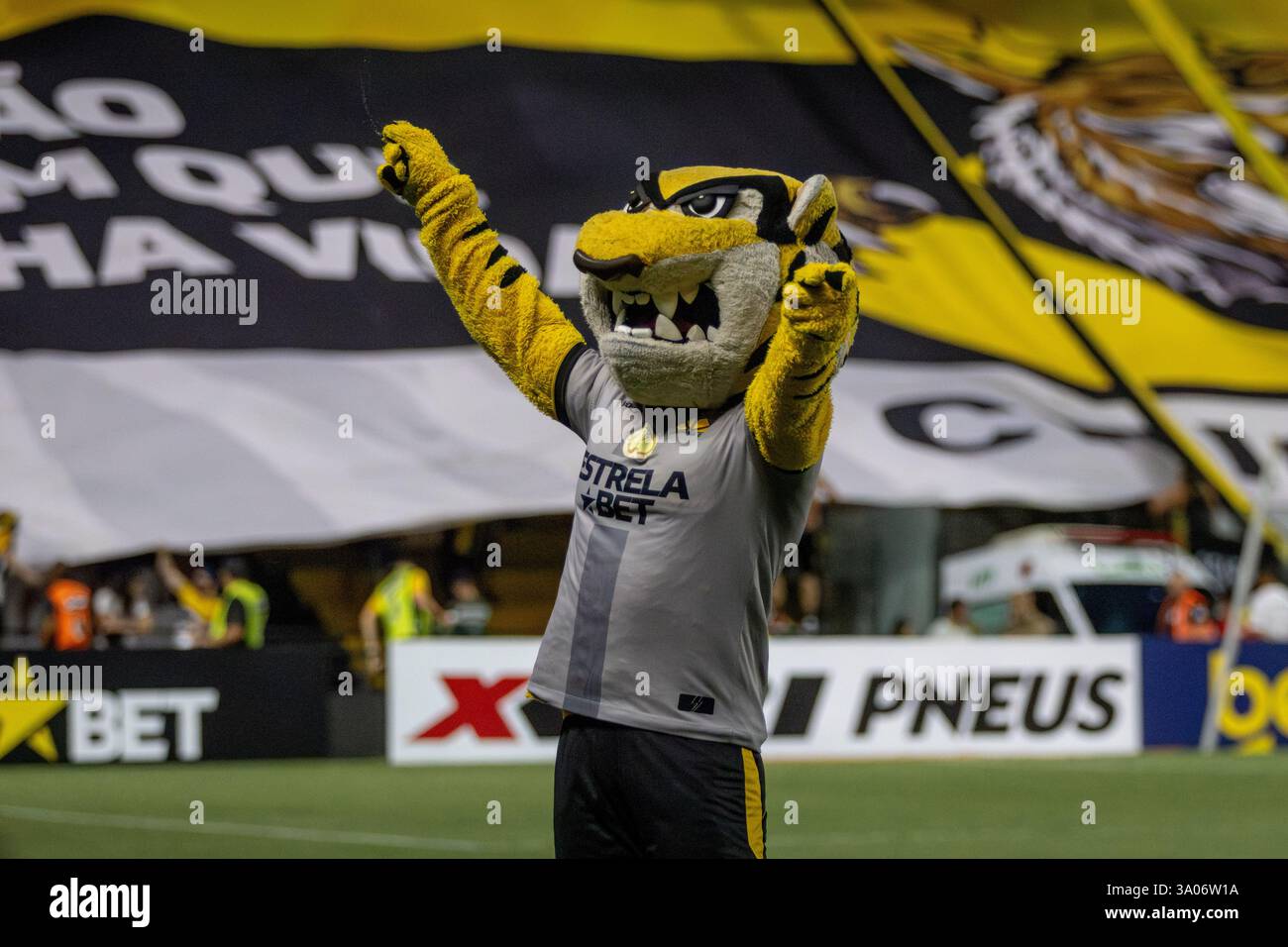 Criciuma 2025 hi-res stock photography and images - Alamy