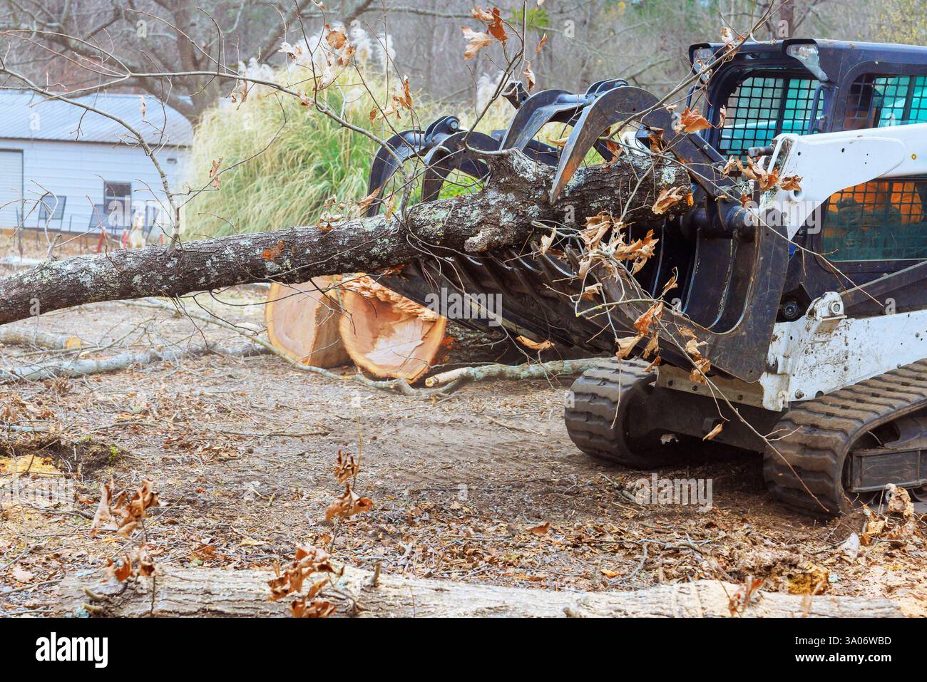 Skid steer loader transports large tree trunk, clearing yard debris in ...