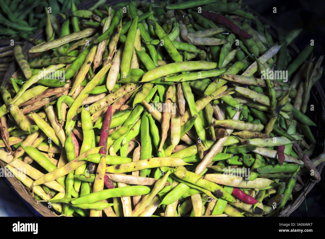Vegetables, French beans in bucket, Munnar market, Kerala, India, Asia ...