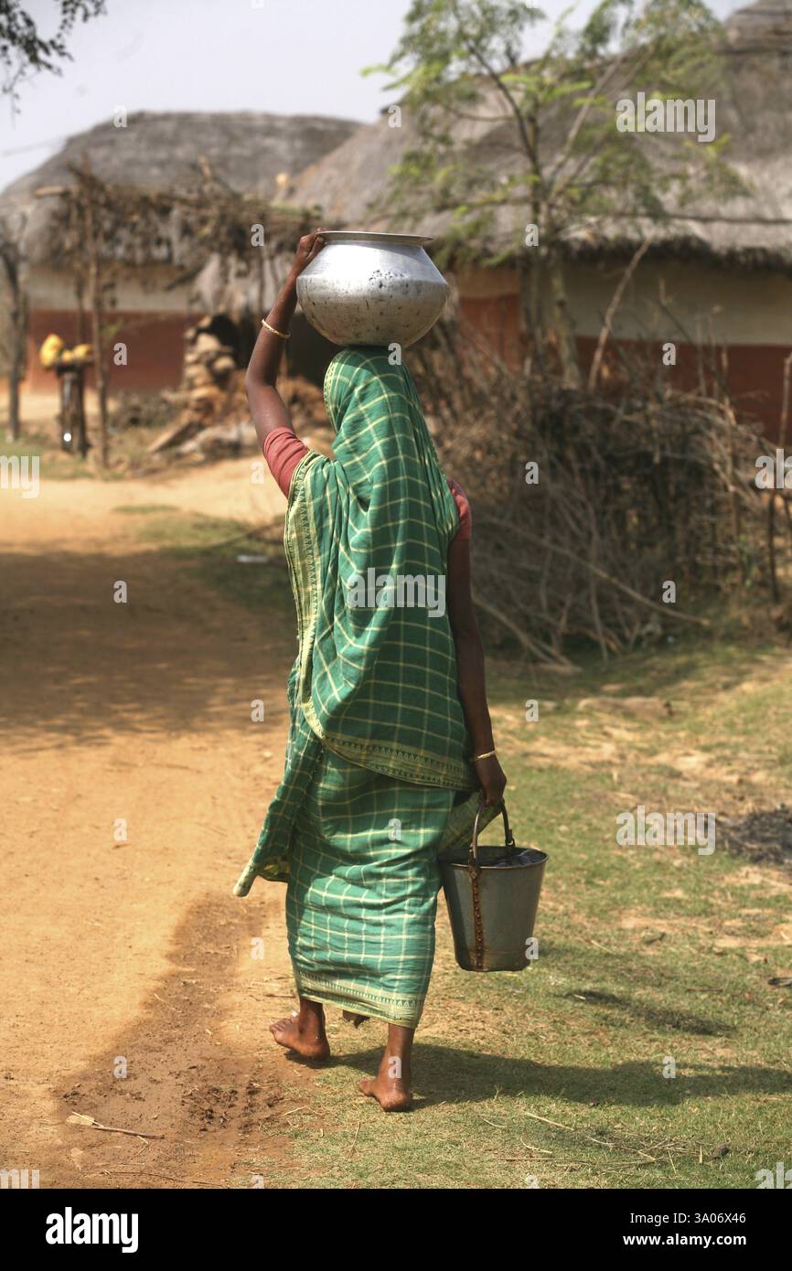 Lady carrying water pot on her head and bucket in her hand in Jharkhand ...