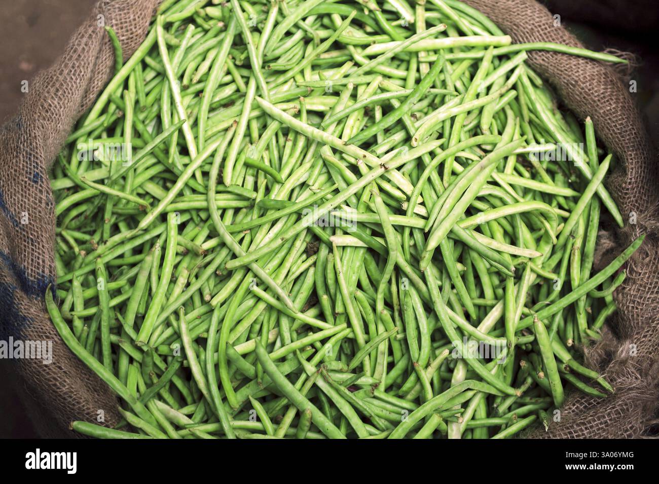 Vegetables, string beans in jute sack in Munnar market, Kerala, India ...