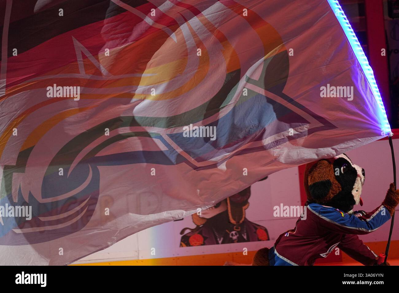 Colordo Avalanche mascot Bernie the St. Bernard carries a flag bearing ...