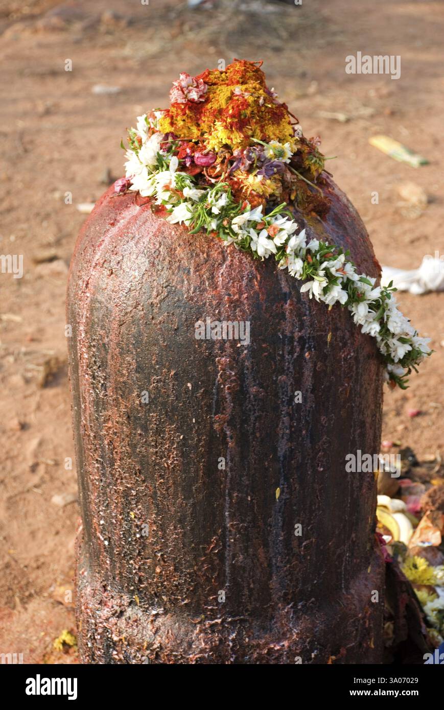Shivlinga with flowers hi-res stock photography and images - Alamy