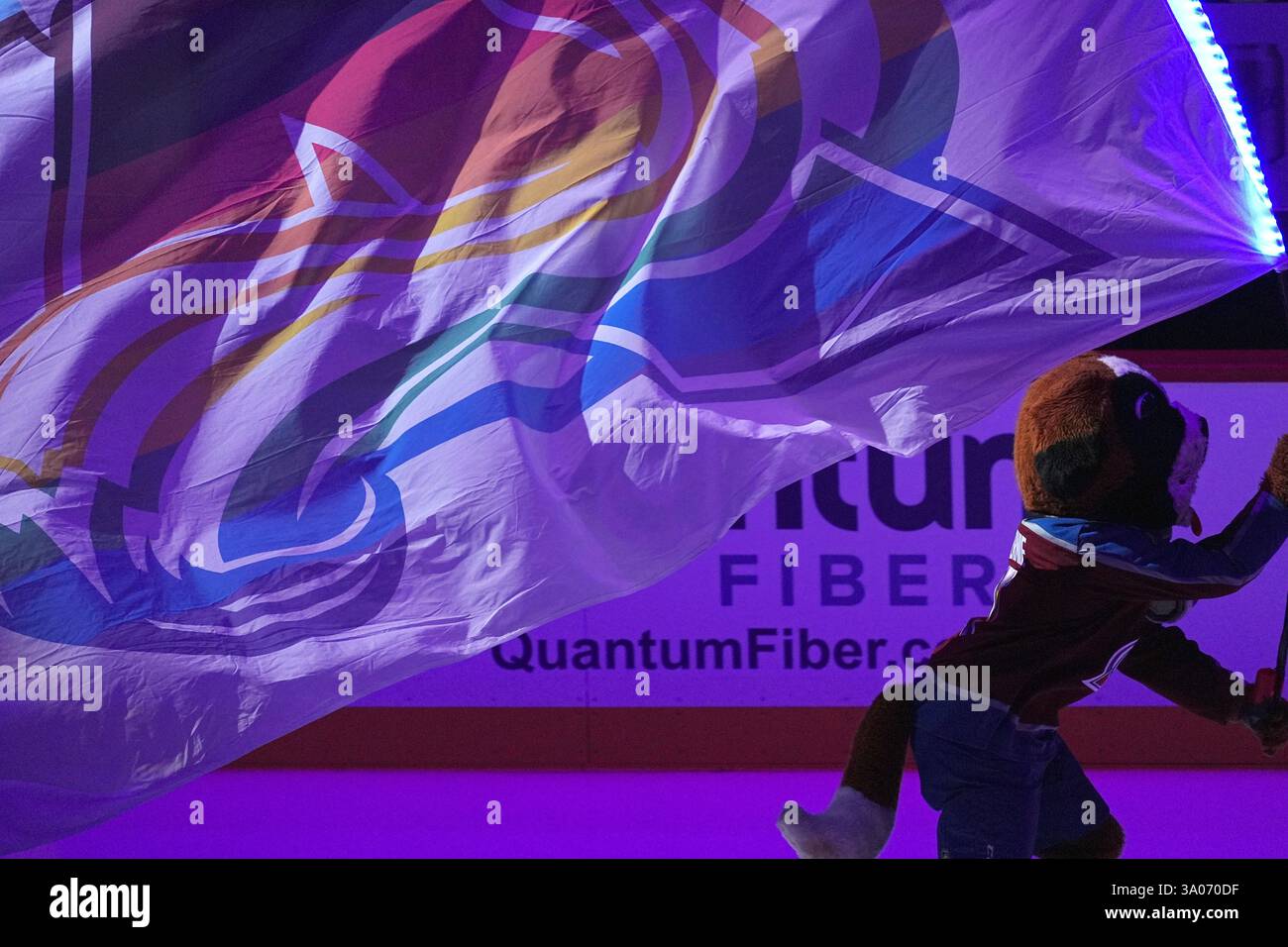 Colorado Avalanche mascot Bernie the St. Bernard skates with the team ...