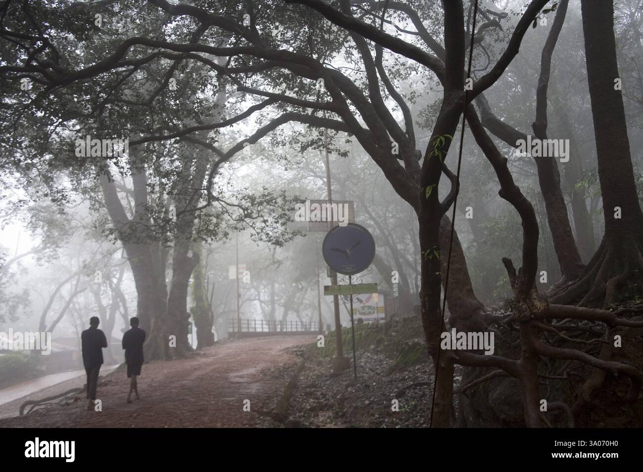 View of forest in Monsoon Season on Hill station, Matheran, Maharashtra ...