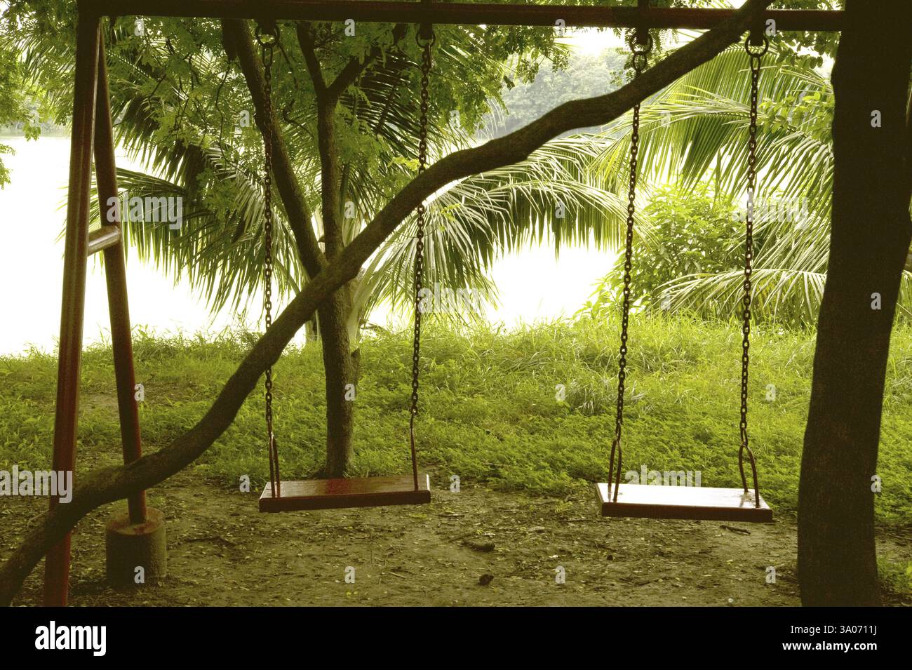 Two swings in the garden, Kolkata Calcutta, West Bengal, India, Asia ...