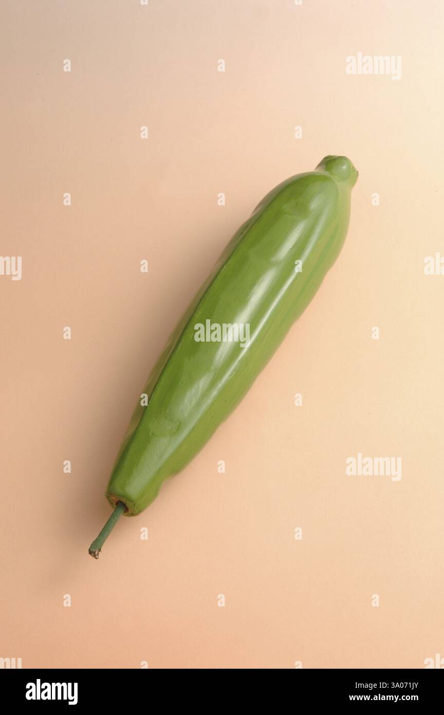 Vegetable Tori, Thurai English Name, Ridge Gourd Botanical name, Luffa ...