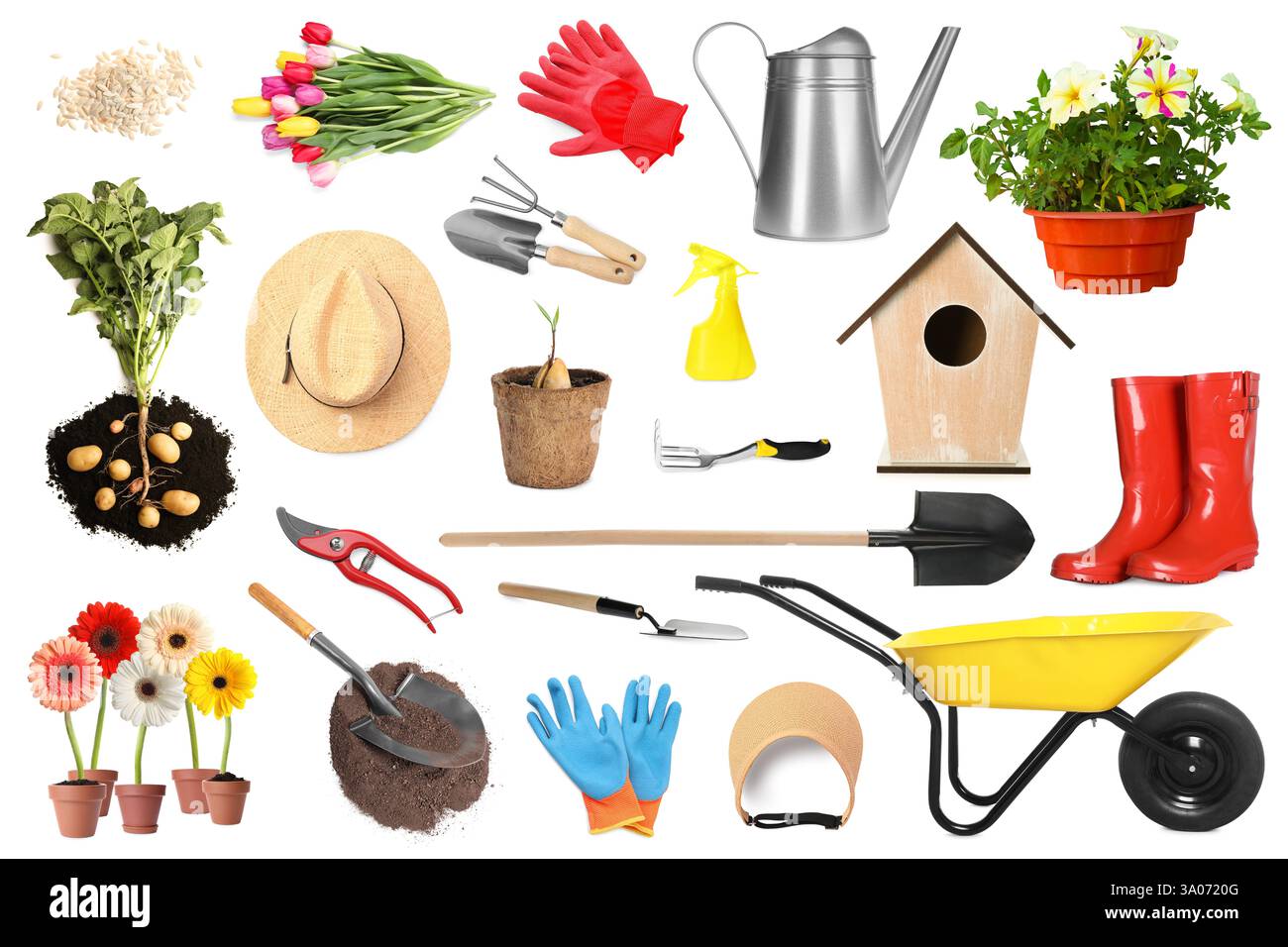 Set of different gardening tools and plants isolated on white Stock ...