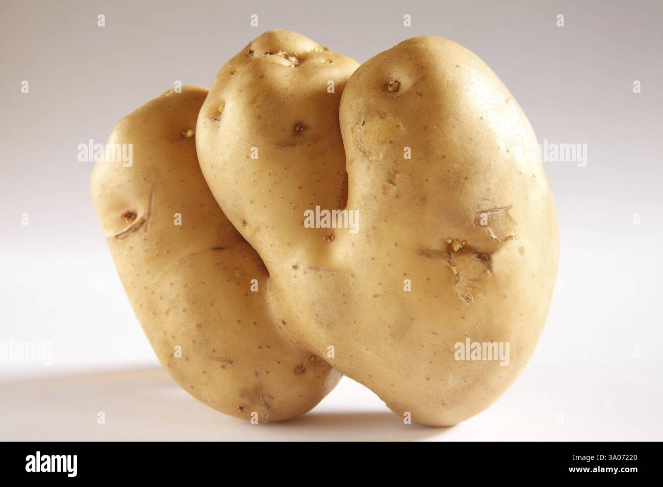 Vegetables, potatoes aloo male female concept figure on white ...