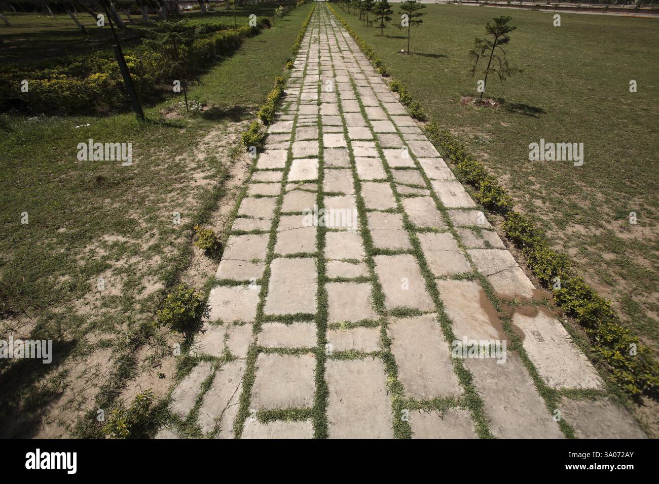 Pathway in Chandigarh, Union Territory, India, Asia Stock Photo - Alamy