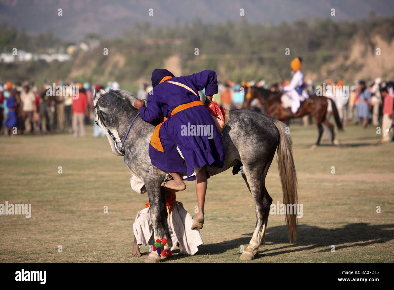 Nihang or Sikh warrior climbing on horse during Hola Mohalla celebration at Anandpur sahib in ...