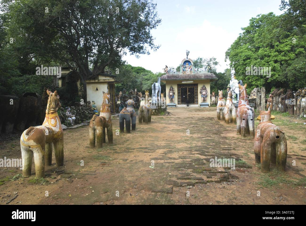 Sacred grove, Ayyanar temple, Oorappatti, Pudukkottai, Tamil Nadu ...