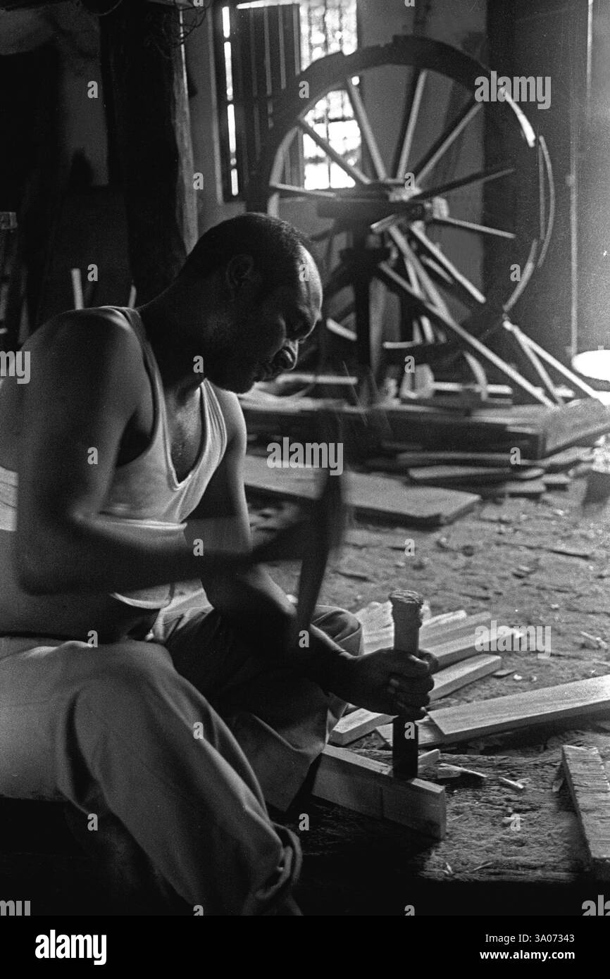 Plants of assam Black and White Stock Photos & Images - Alamy