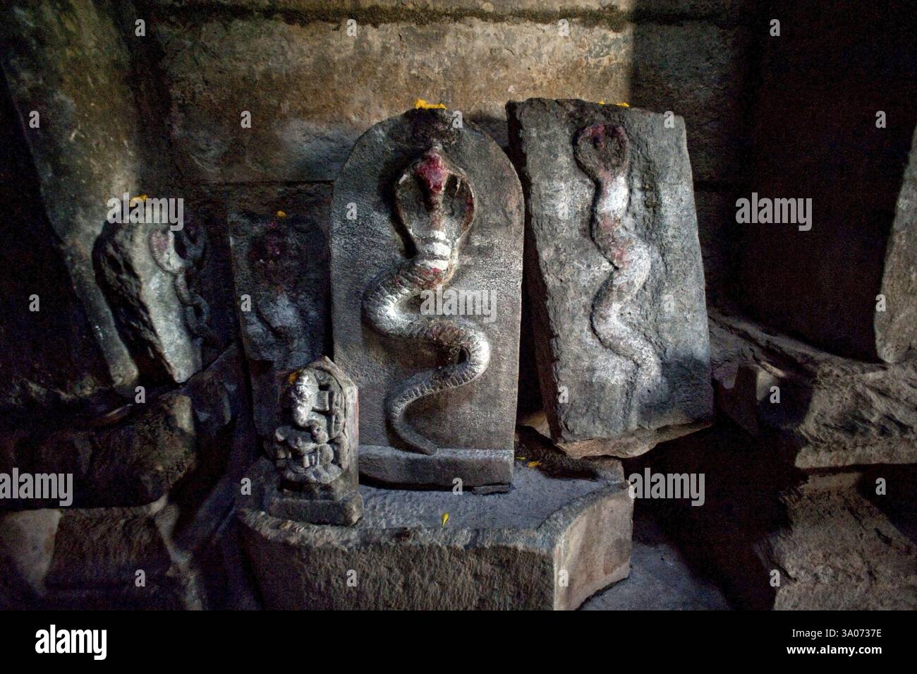 Snakes carved in doddabasappa temple at dambal gadag, Karnataka, India ...