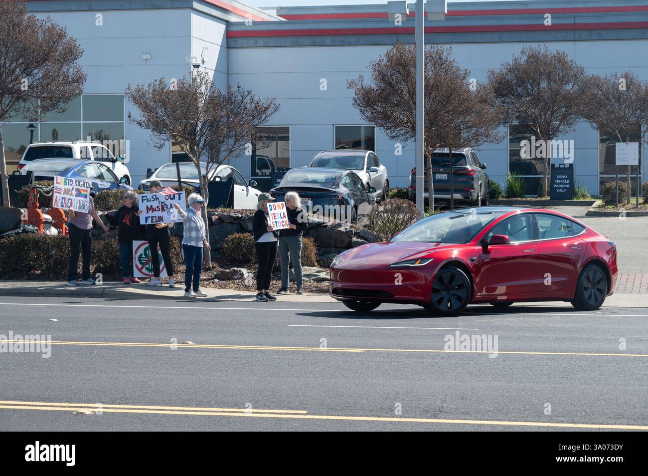 Protesters wave signs like Dump Tesla Stock at a red Model 3 pulling ...
