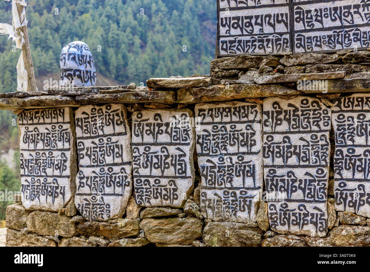 Mani stones sacred religious symbols carved on the huge rocks along the ...
