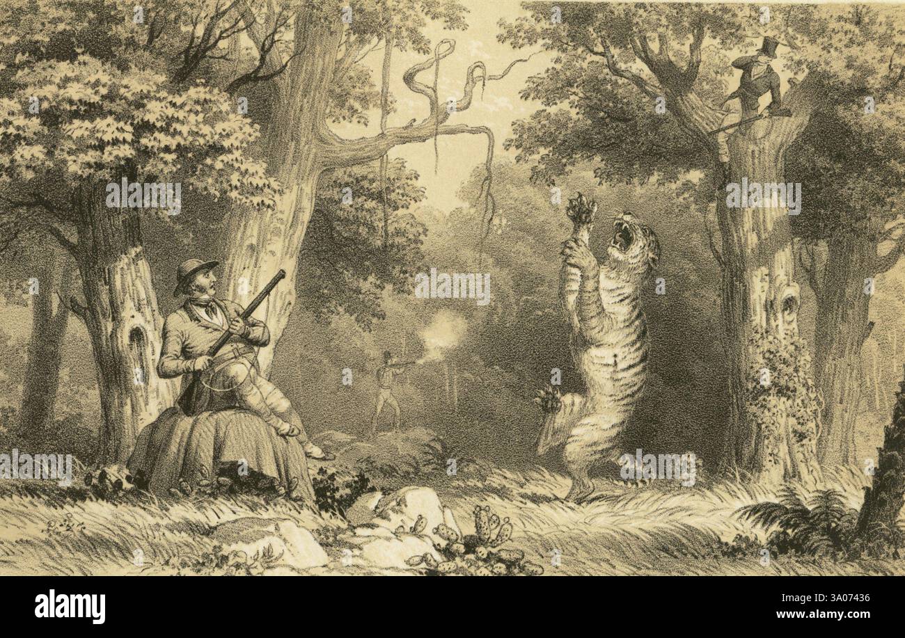 Tiger hunt hunting india hi-res stock photography and images - Alamy