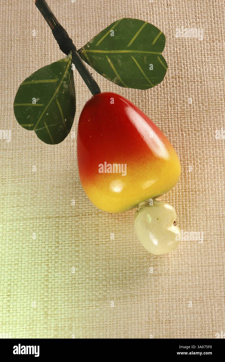 Fruit Dry Fruit Seed English Name Cashew Botanical name Anacardium ...