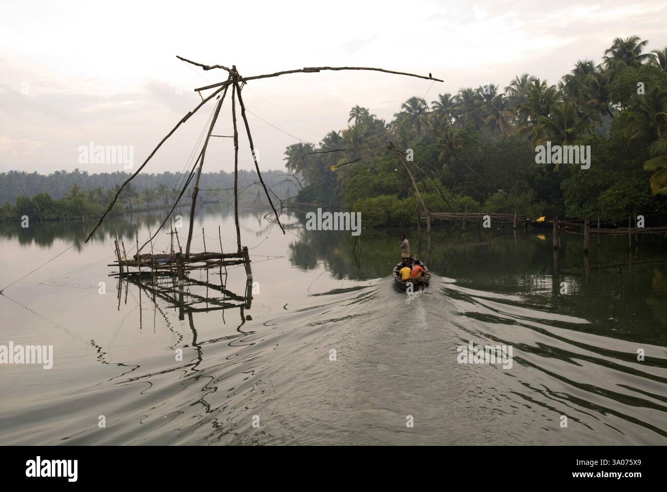 Chinese fishing nets on backwaters of Cherai, Kerala, India, Asia Stock ...