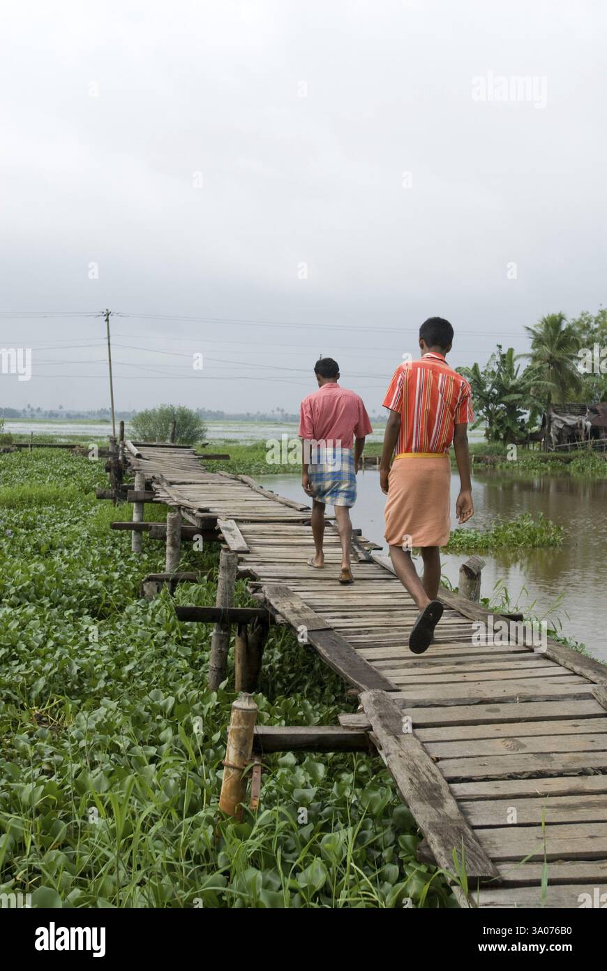 People crossing small wooden bridge near Changanacherry, Kerala, India ...