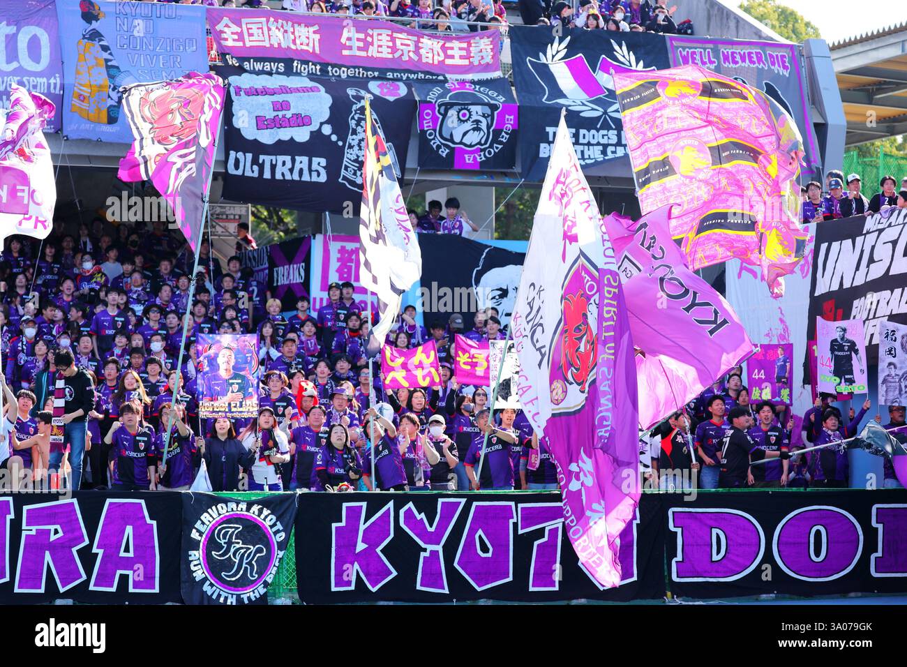 F.C. Kyoto Sanga F.C fans, MARCH 1, 2025 - Football / Soccer : 2025 J1 ...