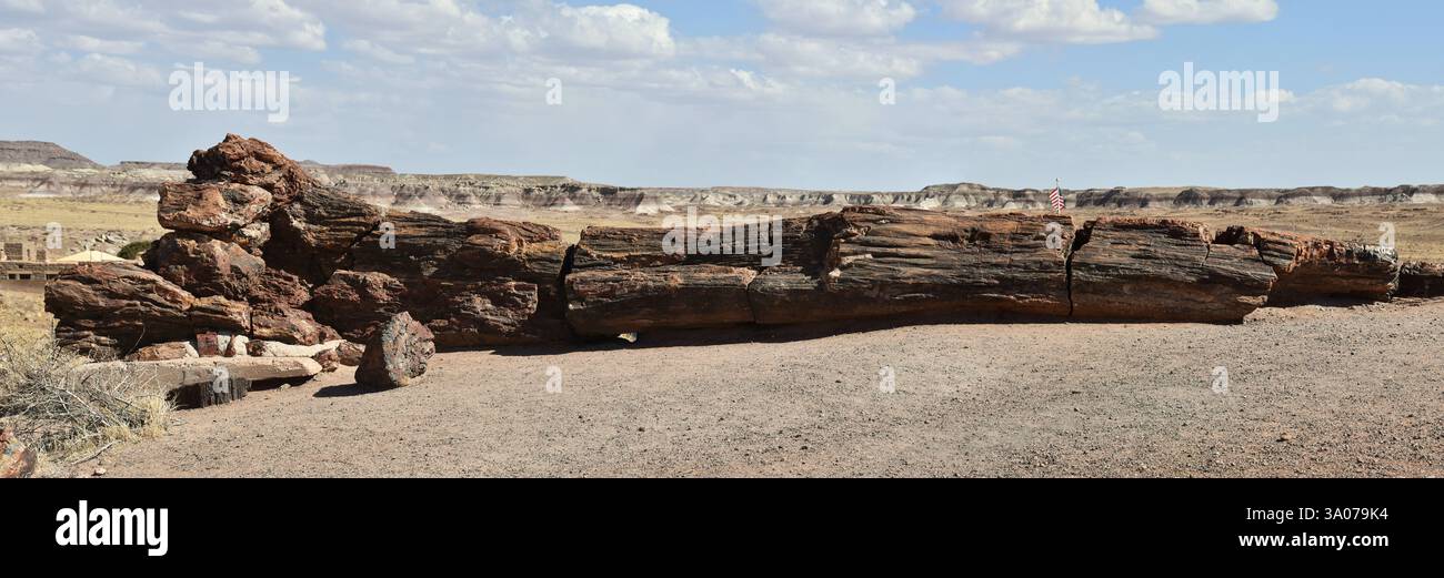 A petrified stone log in Arizona's Petrified Forest National Park Stock ...