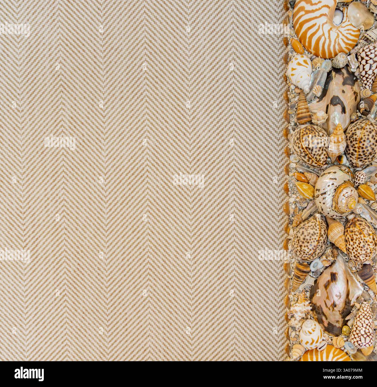space with one side featuring sea shells Stock Photo - Alamy